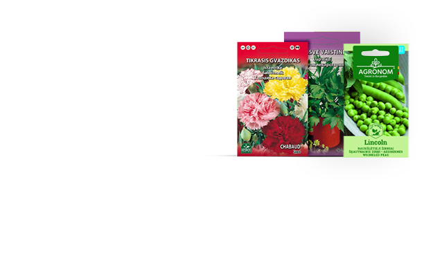 Pasiūlymai - ermitazas.lt